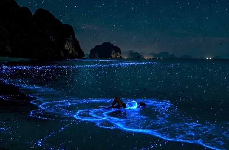 Book Your Krabi, Thailand Blue Bioluminescent Plankton Trip 2025
