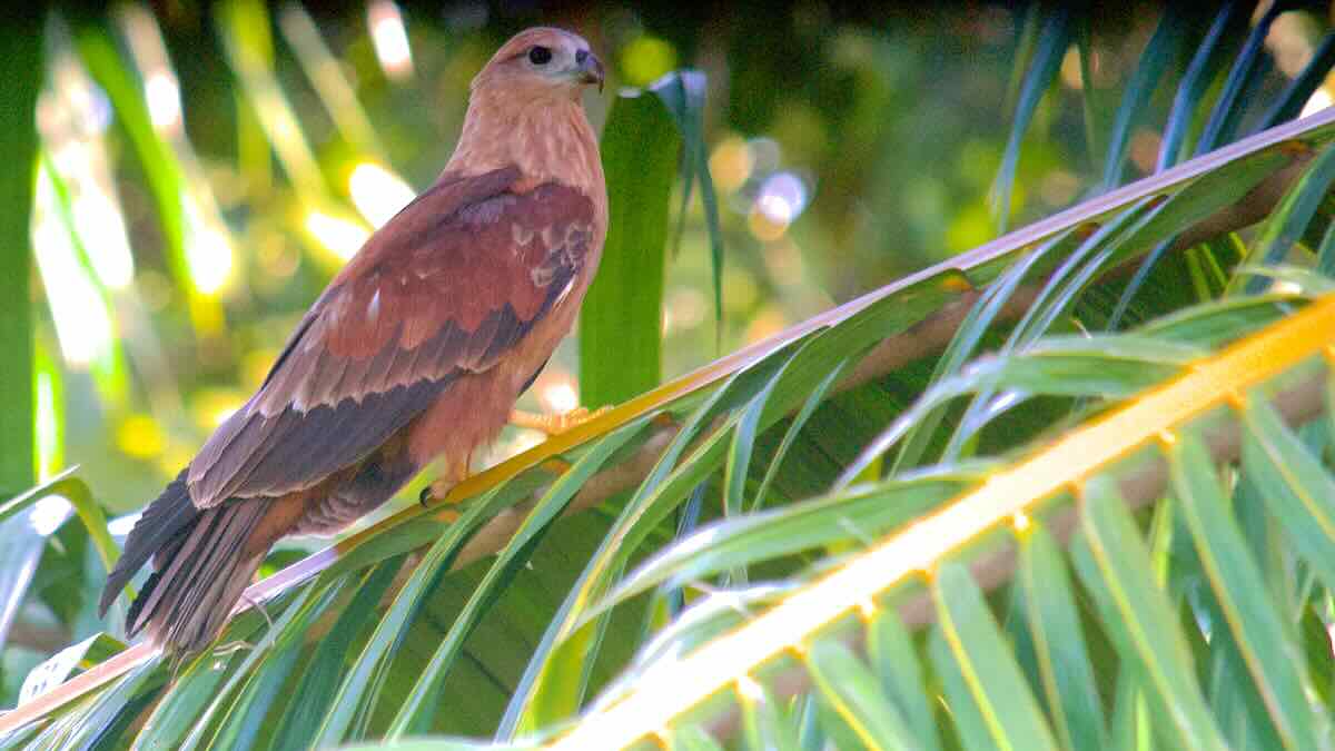 Helpful Krabi Government Office Locations/Contact Info