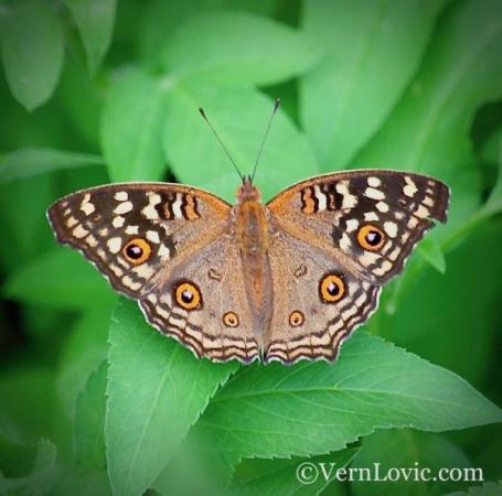 Huay Toh Waterfall Guide for 2025 in Krabi (Best one)